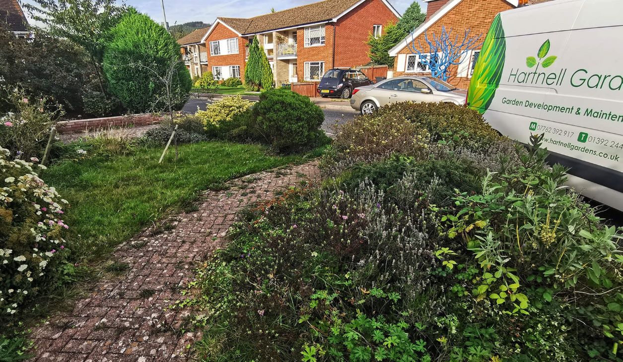 Garden Restoration - Hartnell Gardens