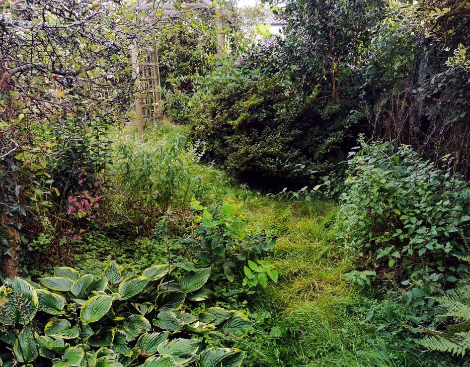 Garden Restoration - Hartnell Gardens